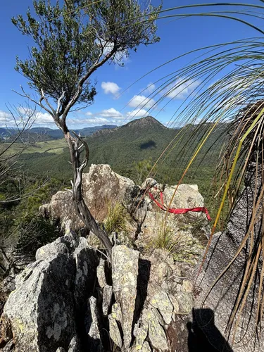 Best Waterfall Trails in Mount Barney National Park | AllTrails