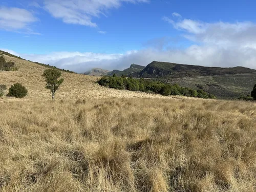 Best Hikes and Trails in Hoon Hay Reserve | AllTrails