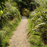 Mercer Bay Loop Track, Auckland, New Zealand - 634 Reviews, Map | AllTrails
