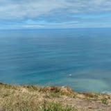 Mercer Bay Loop Track, Auckland, New Zealand - 634 Reviews, Map | AllTrails