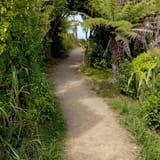 Mercer Bay Loop Track, Auckland, New Zealand - 634 Reviews, Map | AllTrails