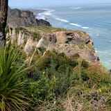 Mercer Bay Loop Track, Auckland, New Zealand - 634 Reviews, Map | AllTrails