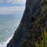 Mercer Bay Loop Track, Auckland, New Zealand - 634 Reviews, Map | AllTrails