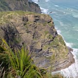 Mercer Bay Loop Track, Auckland, New Zealand - 634 Reviews, Map | AllTrails