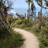 Mercer Bay Loop Track, Auckland, New Zealand - 634 Reviews, Map | AllTrails