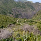 Mercer Bay Loop Track, Auckland, New Zealand - 634 Reviews, Map | AllTrails