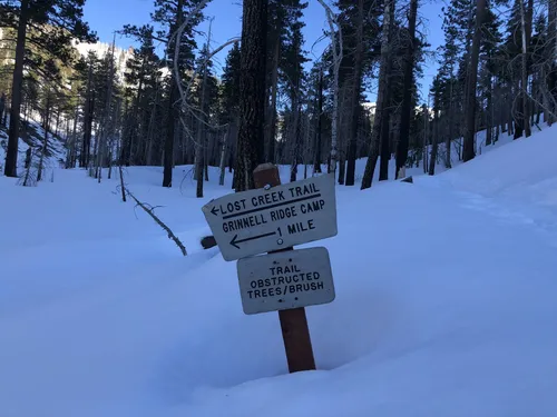 Best Camping Trails in Forest Falls | AllTrails