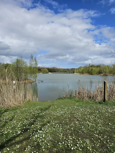 Best Walking Trails in Scarpe-Escaut Regional Nature Park | AllTrails