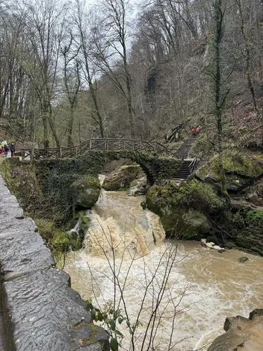 Best Camping Trails in Consdorf | AllTrails