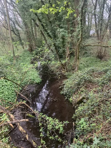 Best Hikes and Trails in Hawksworth Wood | AllTrails