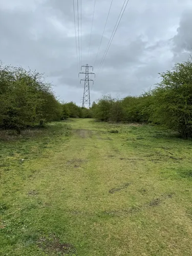 Best Hikes and Trails in Colne Valley Park | AllTrails