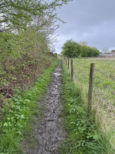 Best Hikes and Trails in Colne Valley Park | AllTrails