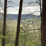 Pine Log Creek Trail, Georgia - 2,482 Reviews, Map | AllTrails