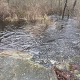 Pawcatuck River Loop, Rhode Island - 167 Reviews, Map | AllTrails