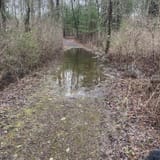 Pawcatuck River Loop, Rhode Island - 167 Reviews, Map | AllTrails