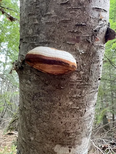 Best Hikes and Trails in Hauser Conservation Area | AllTrails