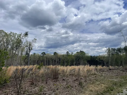 Best Hikes and Trails in Duke Forest | AllTrails