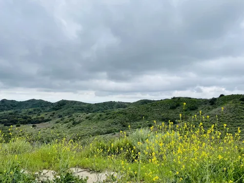 Best Hikes and Trails in Thomas F Riley Wilderness Park | AllTrails