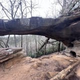 Princess Arch Trail, Kentucky - 1,331 Reviews, Map | AllTrails