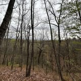 Brissy Ridge Trail to Kanuga Trail to Pipsissewa Trail Loop, South ...