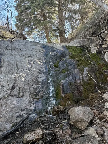 Best Short Trails in Sandia Mountain Wilderness | AllTrails