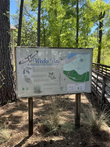 Best Kid Friendly Trails in Foley | AllTrails