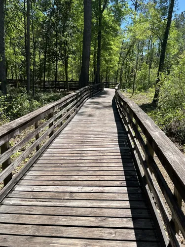 Best Kid Friendly Trails in Foley | AllTrails