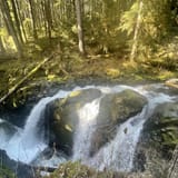 Sol Duc Falls Trail, Washington - 4,551 Reviews, Map | AllTrails