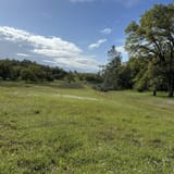 Olmstead Loop and Wendell Robie Trail, California - 2,926 Reviews, Map ...