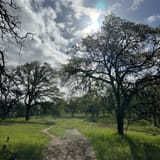 Olmstead Loop and Wendell Robie Trail, California - 2,926 Reviews, Map ...