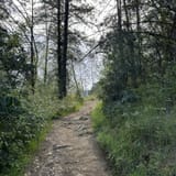 Olmstead Loop and Wendell Robie Trail, California - 2,926 Reviews, Map ...