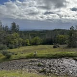 Olmstead Loop and Wendell Robie Trail, California - 2,926 Reviews, Map ...