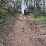 Olmstead Loop and Wendell Robie Trail, California - 2,926 Reviews, Map ...