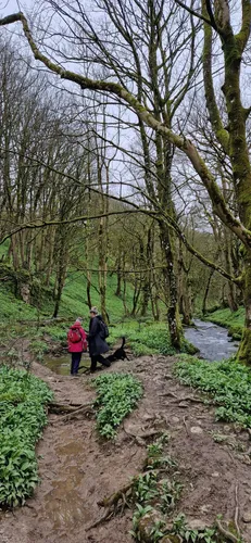 Best Camping Trails in Malham | AllTrails