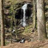 Walden Creek Waterfall Trail, Georgia - 159 Reviews, Map | AllTrails