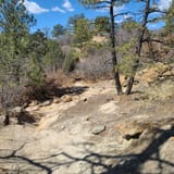 Palmer Park Outer Loop Trail, Colorado - 612 Reviews, Map | AllTrails