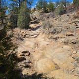 Palmer Park Outer Loop Trail, Colorado - 612 Reviews, Map | AllTrails
