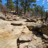 Palmer Park Outer Loop Trail, Colorado - 612 Reviews, Map | AllTrails