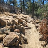 Palmer Park Outer Loop Trail, Colorado - 612 Reviews, Map | AllTrails