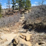 Palmer Park Outer Loop Trail, Colorado - 612 Reviews, Map | AllTrails