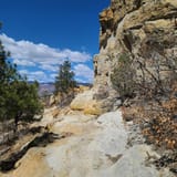 Palmer Park Outer Loop Trail, Colorado - 612 Reviews, Map | AllTrails