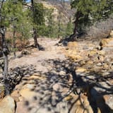 Palmer Park Outer Loop Trail, Colorado - 656 Reviews, Map | AllTrails