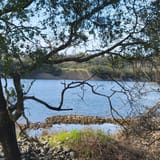 Lake Natoma American River Trail, California - 2,624 Reviews, Map ...