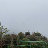 Cerro de Punta, Central Region, Puerto Rico - 129 Reviews, Map | AllTrails