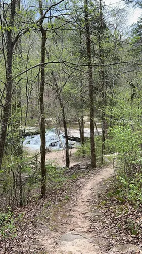 Best Wheelchair Friendly Trails in Cross Anchor | AllTrails