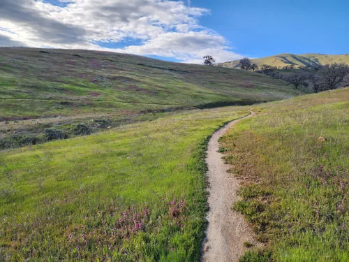 Best Views Trails in Tehachapi | AllTrails