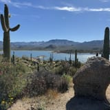 Bartlett Reservoir Trail , Arizona - 349 Reviews, Map | AllTrails
