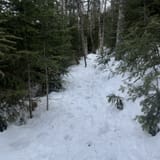 Little Haystack via Falling Waters Trail, New Hampshire - 1,713 Reviews ...