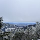 Little Haystack via Falling Waters Trail, New Hampshire - 1,713 Reviews ...