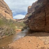 Mill Creek Trail, Utah - 2,590 Reviews, Map | AllTrails